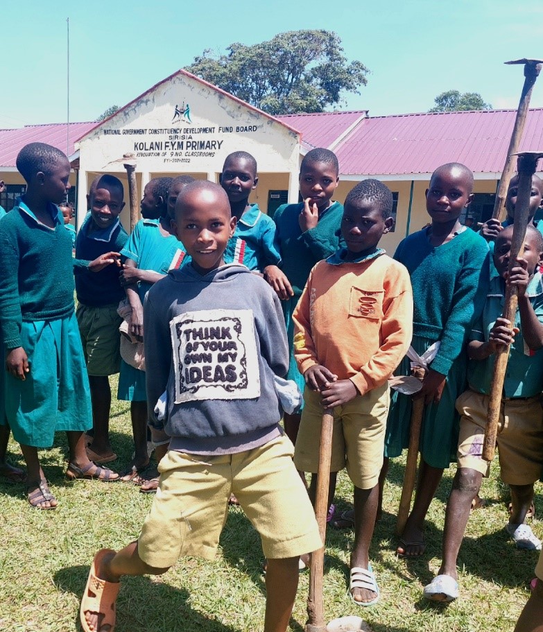 Multilingual African Learning Spaces: Translanguaging Practices in ...